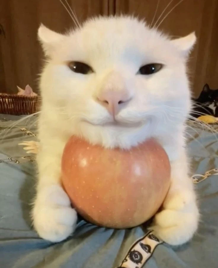 rizekk (@rizekk_) is LIVE - TikTok LIVE